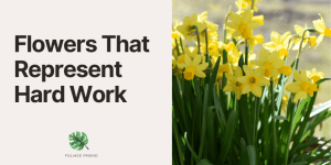 10 Flowers That Represent Hard Work: The Fruits Of Labor - Foliage ...
