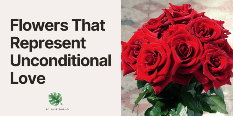 10 Flowers That Represent Unconditional Love: Forever In Bloom ...