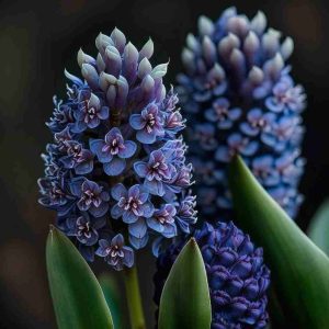 10 Flowers That Represent Sadness: The Beauty In Emotions - Foliage ...
