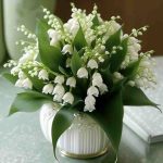 10 Flowers That Represent Sadness: The Beauty In Emotions - Foliage ...