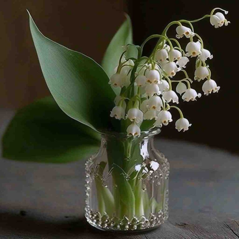 12 Flowers That Represent Birth Months: A Colorful Guide - Foliage ...