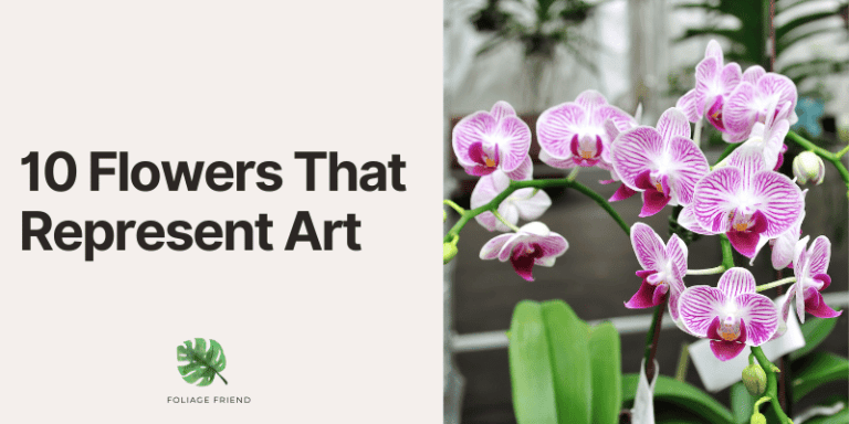 10 Flowers That Represent Art: Blossoming Creativity - Foliage Friend ...