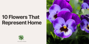 10 Flowers That Represent Home: Bloom Where You’re Planted! - Foliage ...