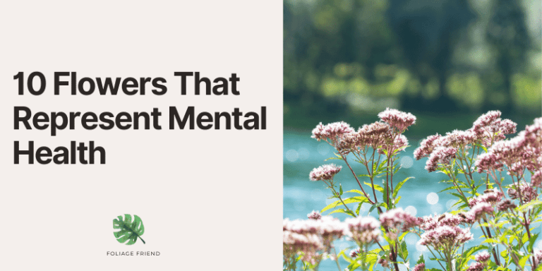 10 Flowers That Represent Mental Health: Blooming With Wellness ...
