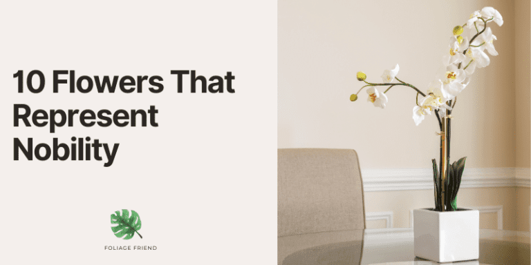 10 Flowers That Represent Nobility: Regal Blooms - Foliage Friend ...