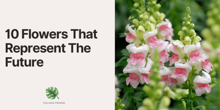 10 Flowers That Represent The Future: Blossoms Of Tomorrow - Foliage ...