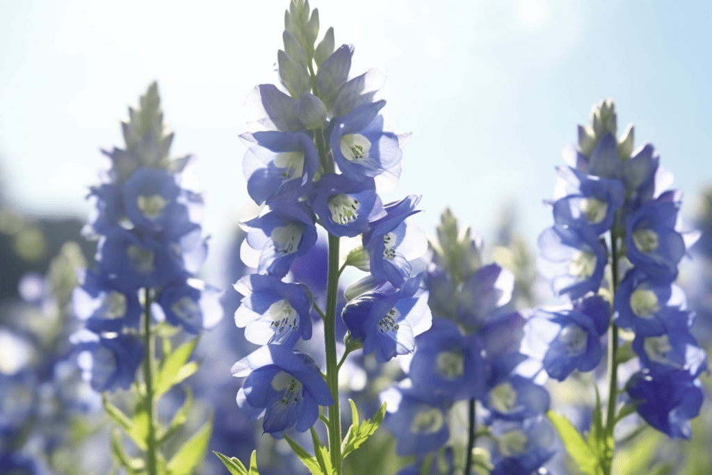 24 Flowers That Grow Tall: Discover Stunning Species Across Diverse ...