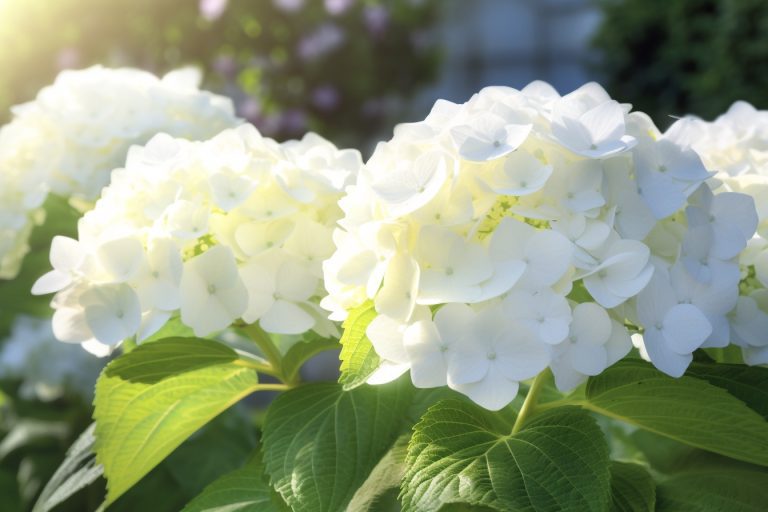 24 Flowers That Grow in Bunches: Discover Stunning Species and Their ...