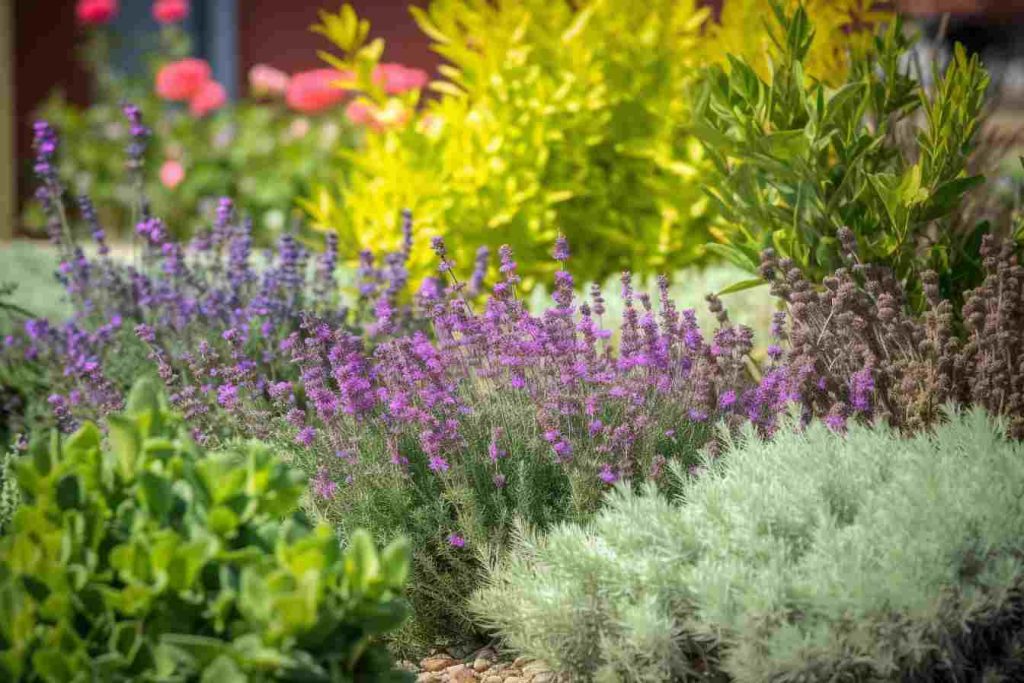 10 Simple Backyard Flower Bed Ideas That Will Add Fresh Color and ...