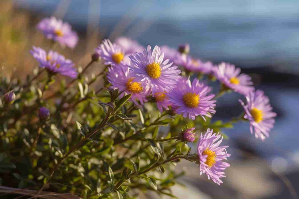 20 Flowers That Grow by the Ocean: Your Ultimate Coastal Blooms Guide ...