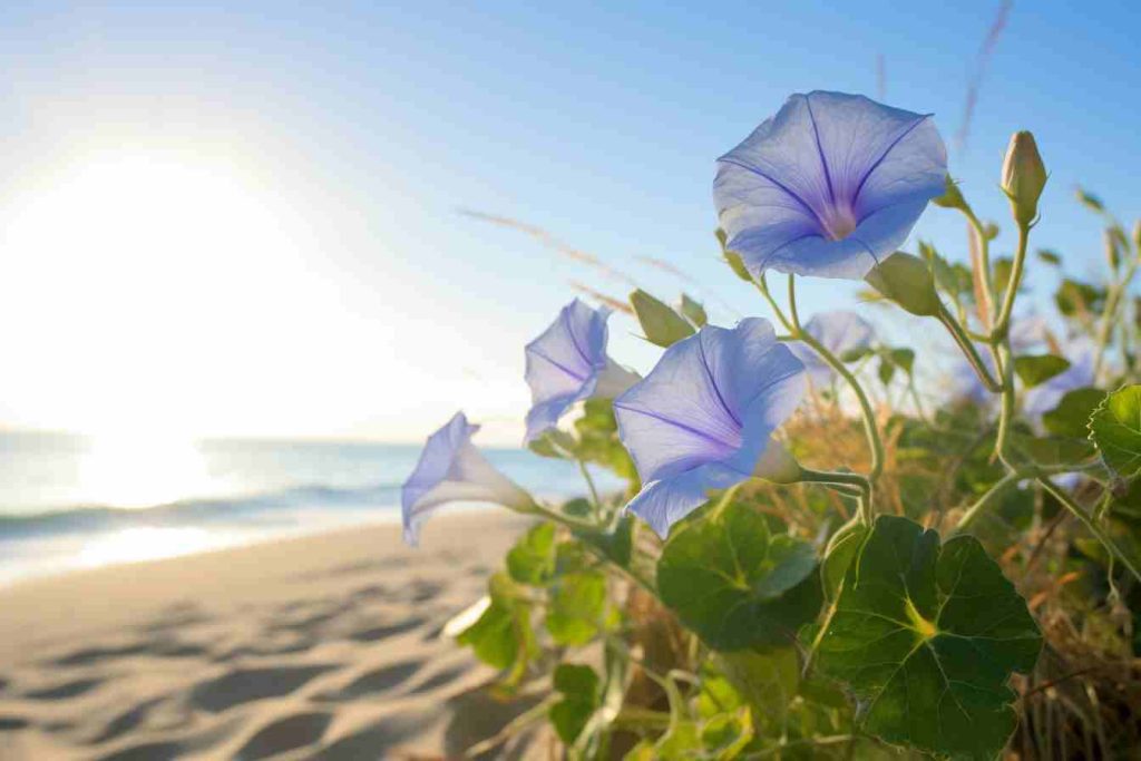 20 Flowers That Grow by the Ocean: Your Ultimate Coastal Blooms Guide ...