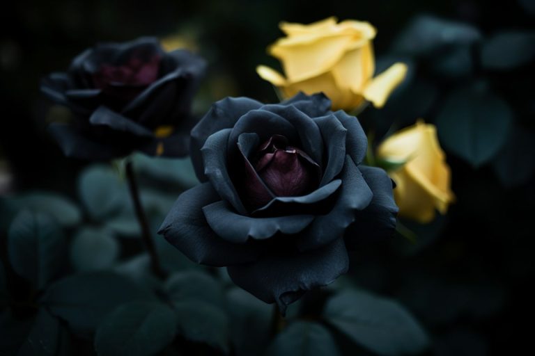 10 Flowers That Represent Evil: Beware Of These Blooms - Foliage Friend ...