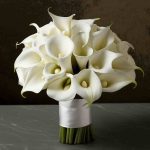 10 Flowers That Represent Promise: Seeds Of Hope - Foliage Friend ...