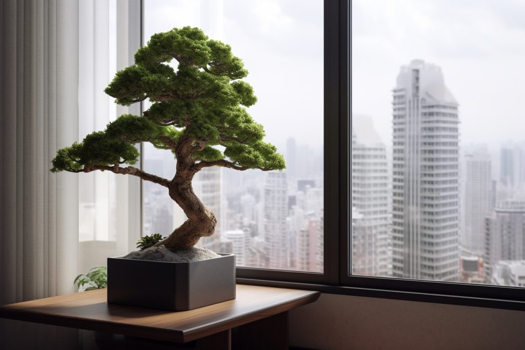 Can a Bonsai Tree Live in an Office? Expert Tips Revealed - Foliage ...