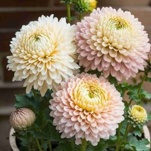 10 Flowers That Represent Promise: Seeds Of Hope - Foliage Friend ...