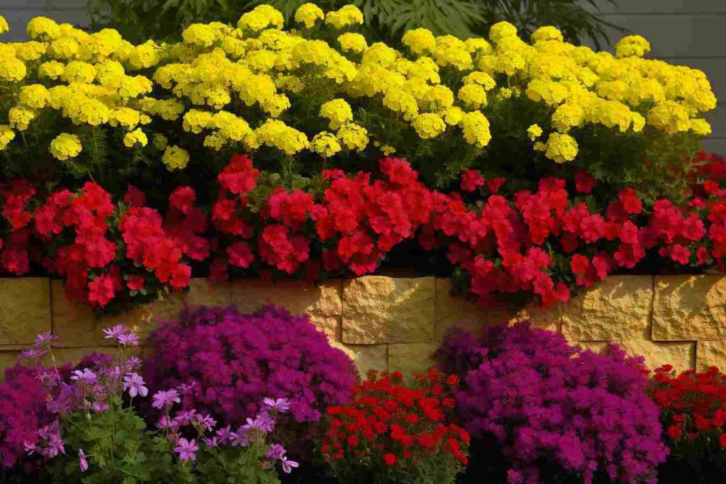 10 Elevated Flower Bed Ideas for a Stunning Garden Design - Foliage ...