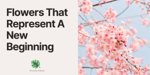 10 Flowers That Represent A New Beginning: A Fresh Start - Foliage ...