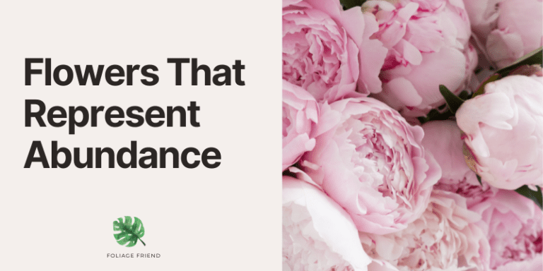 10 Flowers That Represent Abundance: Overflowing Beauty - Foliage ...