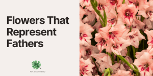 10 Flowers That Represent Fathers: Blooming Love - Foliage Friend ...