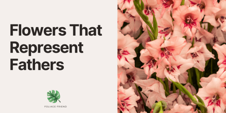 10 Flowers That Represent Fathers: Blooming Love - Foliage Friend ...