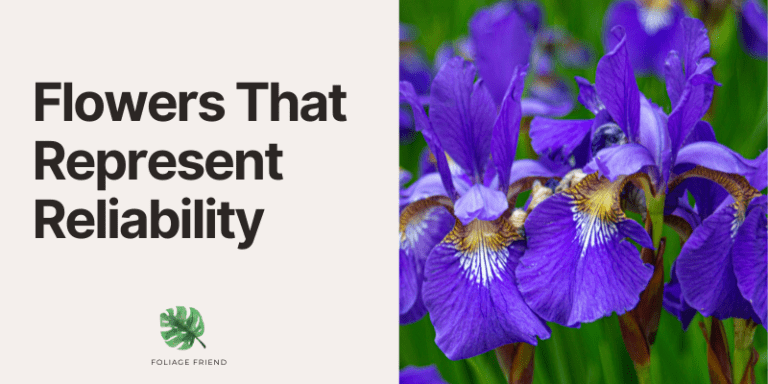 10 Flowers That Represent Reliability: Blossoms You Can Count On ...