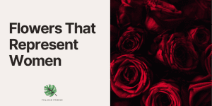 10 Flowers That Represent Women: The Feminine Side - Foliage Friend ...