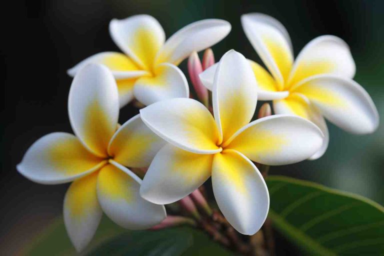 26 Flowers That Grow on Trees: A Delightful Guide to Tree-Blooming ...