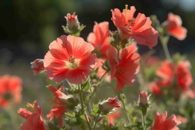 20 Flowers That Grow in Arizona: Beautiful Blooms to Discover in the ...