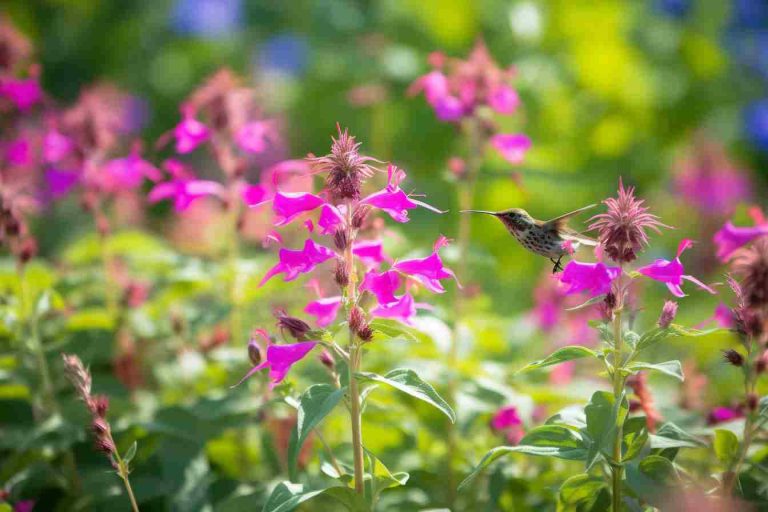 10 Beautiful Oklahoma Flower Bed Ideas to Enhance Your Landscape ...