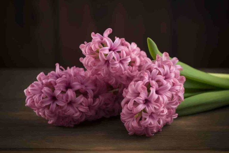 10 Flowers That Represent A New Beginning: A Fresh Start - Foliage ...