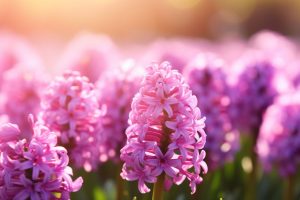 10 Flowers That Represent Bravery: Flower Power - Foliage Friend ...