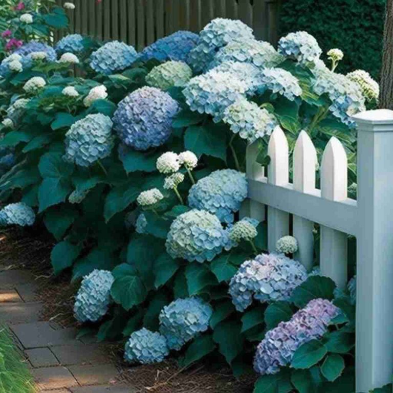 10 Flowers That Represent Hard Work: The Fruits Of Labor - Foliage ...