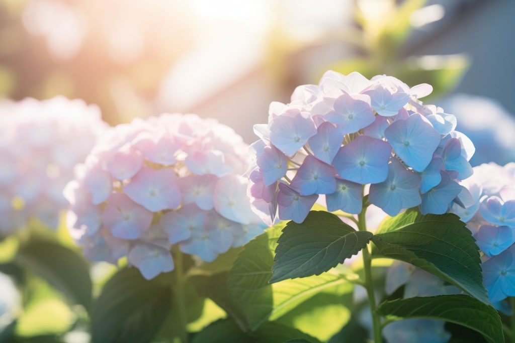 10 Flowers That Represent Safety: Floral Guardians - Foliage Friend ...