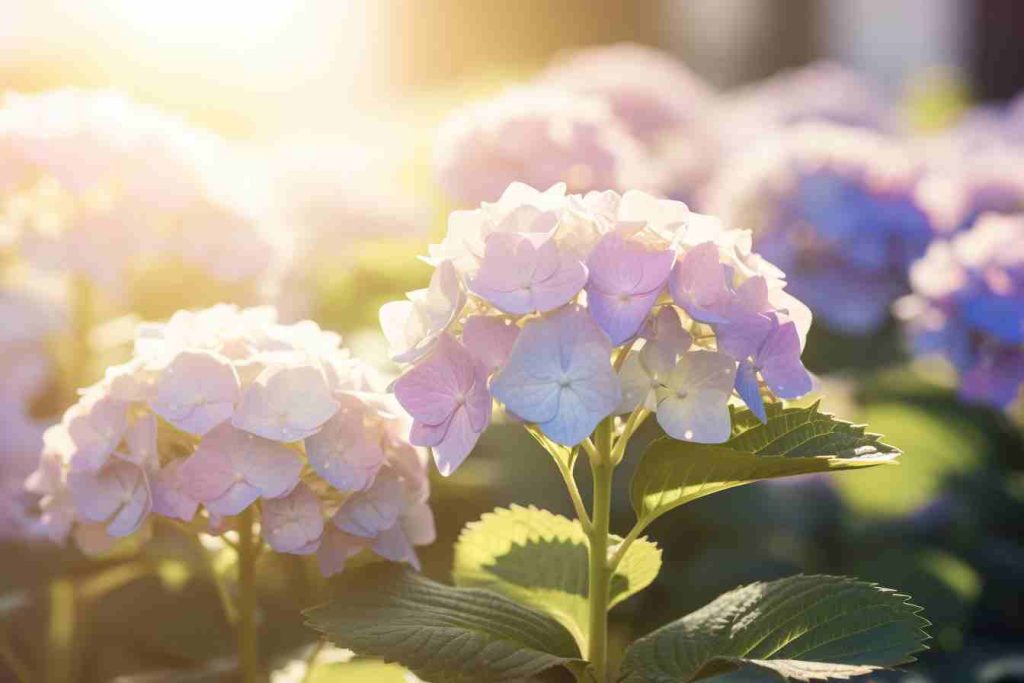 Flowers That Grow in Water: Discover 16 Aquatic Beauties for Your ...