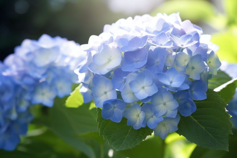 10 Flowers That Represent Maturity: Embrace Your Growth - Foliage ...