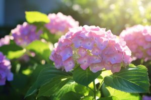 10 Flowers That Represent Strong Women: Powerful Petals - Foliage ...