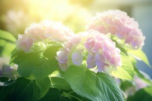 10 Flowers That Represent Femininity: The Feminine Side - Foliage ...