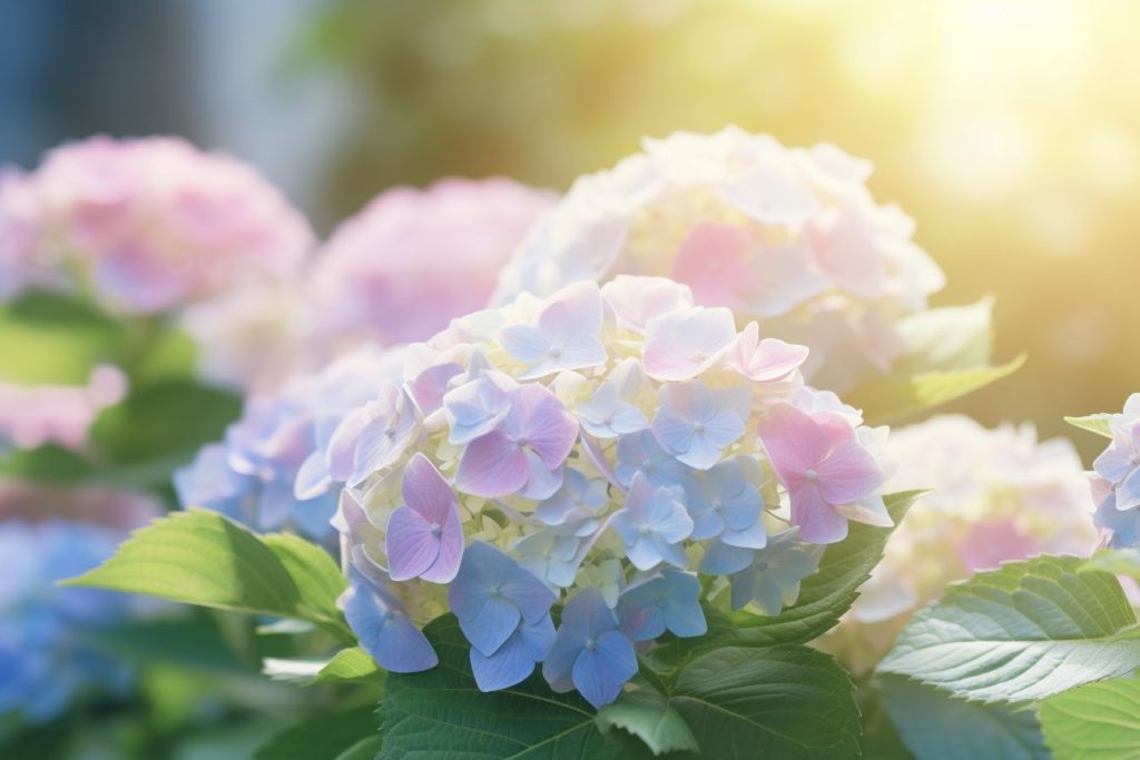 10 Flowers That Represent Love And Family: Floral Bonds - Foliage ...