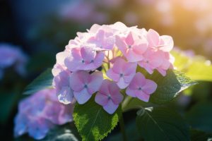 10 Flowers That Represent Perseverance: Never Give Up - Foliage Friend ...
