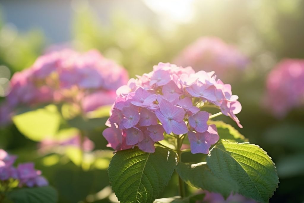 10 Japanese Flowers That Represent Friendship: Symbolic Blossoms ...