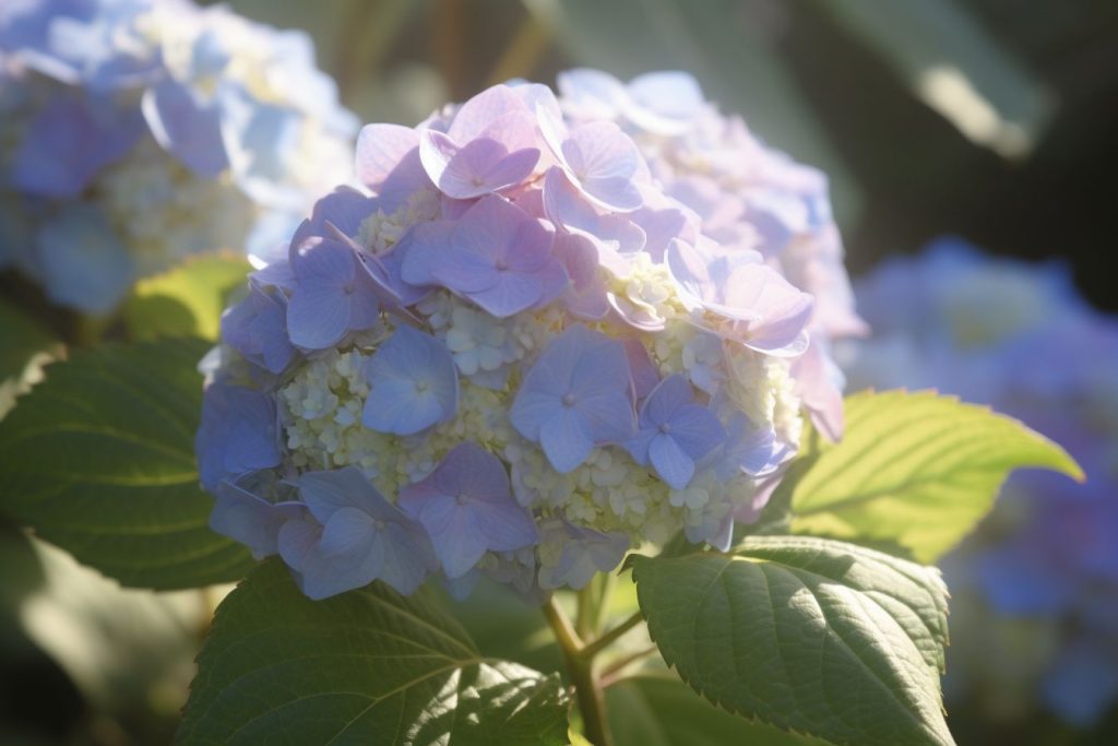 10 Flowers That Represent Personalities: Blooms That Match Your Traits ...