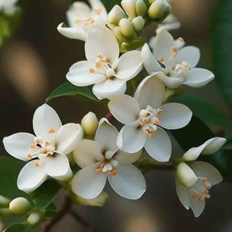 10 Flowers That Represent Spirituality: Divine Blooms - Foliage Friend ...