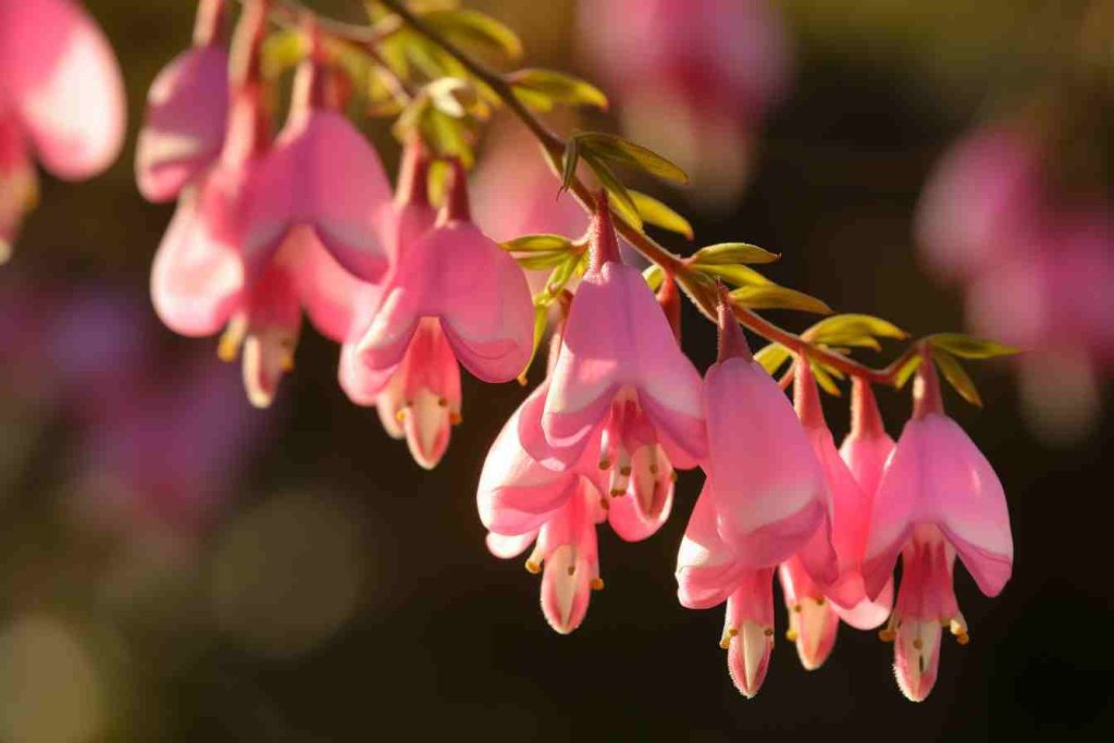 24 Flowers That Grow in Spring: Stunning Blooms to Brighten Your Garden ...