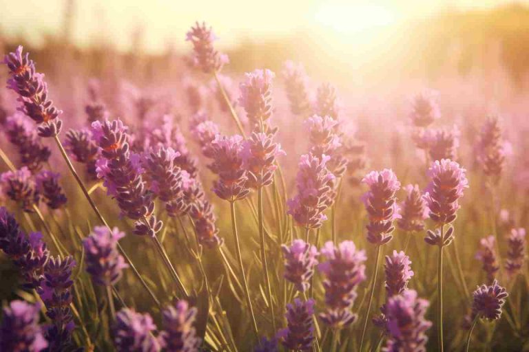 10 Flowers That Represent Self-Love: Bloom With Appreciation - Foliage ...