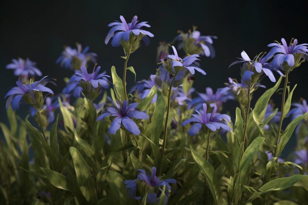 22 Purple Flowers That Grow In Grass: Discover Nature's Vibrant ...