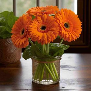 10 Flowers That Represent Admiration: Your Perfect Blooming Gift ...