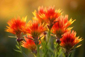 14 Flowers That Grow in Snow: Hardy Winter Bloomers to Brighten Your ...