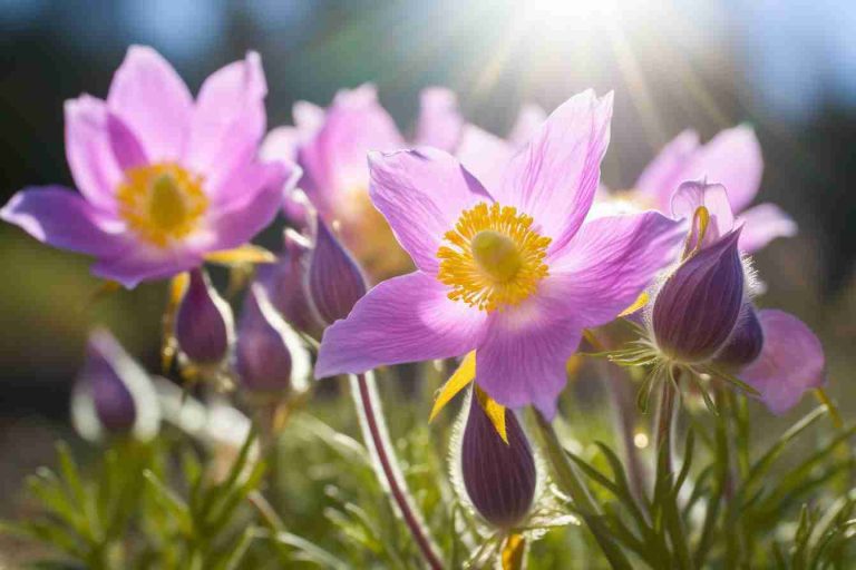 14 Flowers That Grow in Snow: Hardy Winter Bloomers to Brighten Your ...