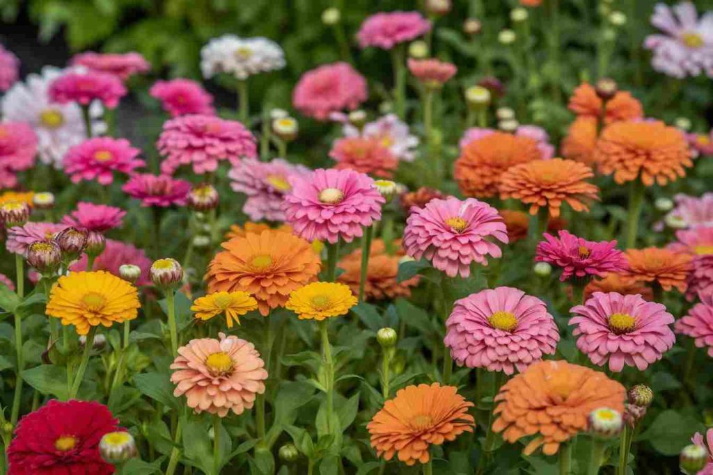 10 Cute Flower Bed Ideas That Will Make Your Garden Pop - Foliage ...