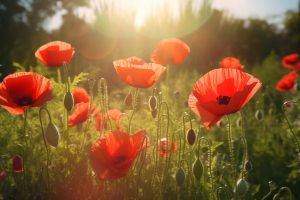 10 Flowers That Represent Gods: Mythical Blooms - Foliage Friend ...